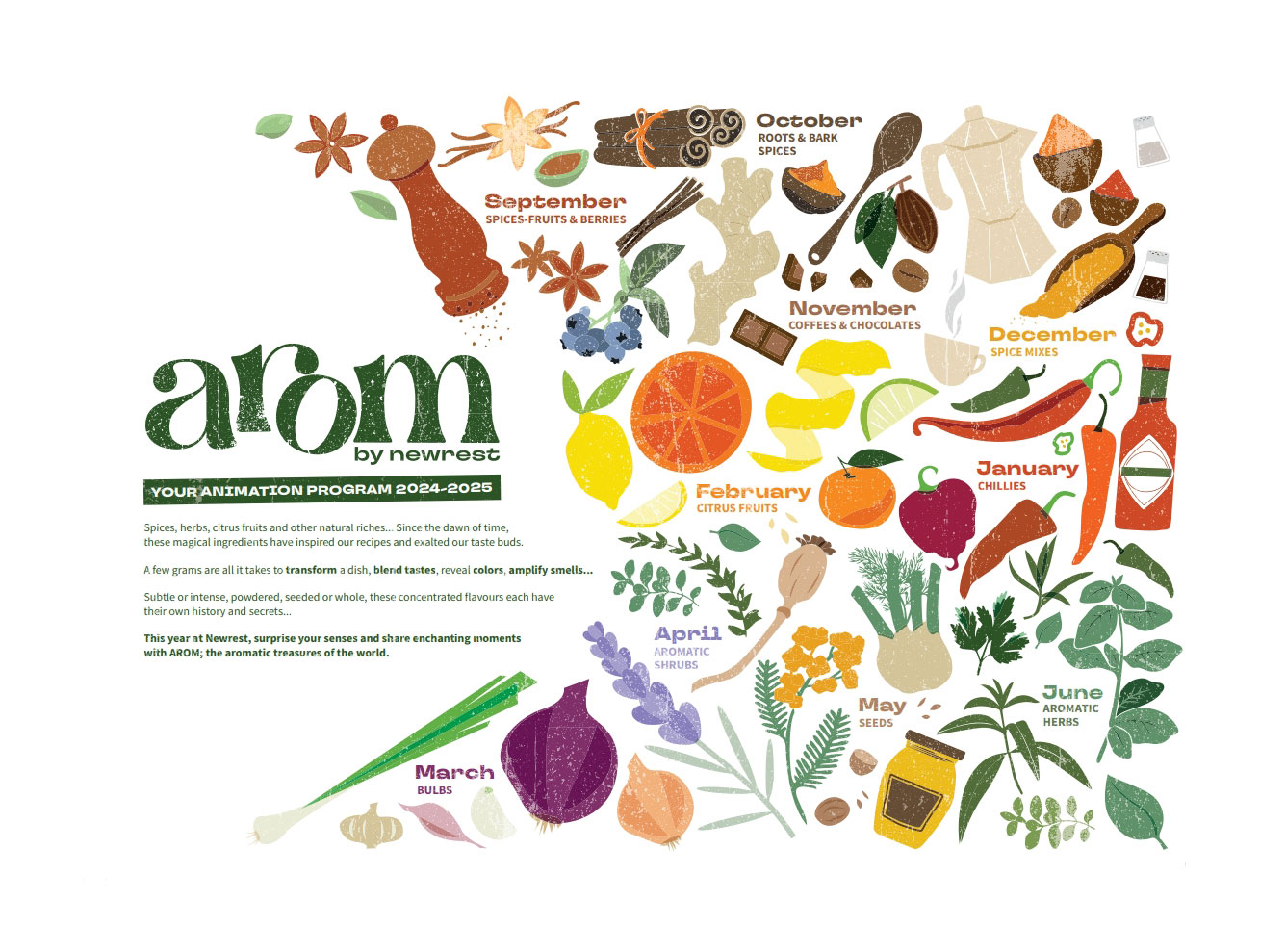 Let the fun begin: the new 2024-2025 animations program “AROM” is here!